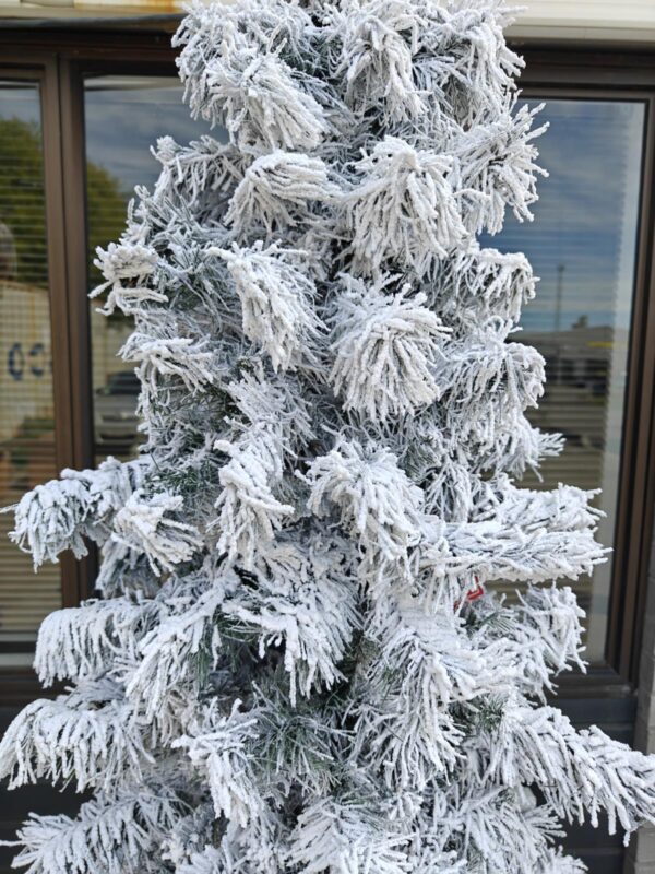 10′ Snow drooping Pine Tree With 900 warm Lights - Christmas Studio