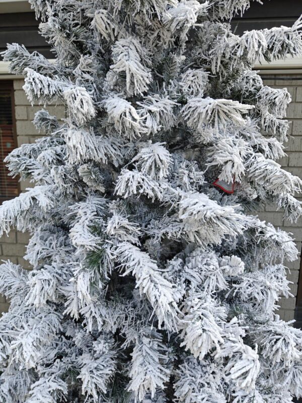 10′ Snow drooping Pine Tree With 900 warm Lights - Christmas Studio